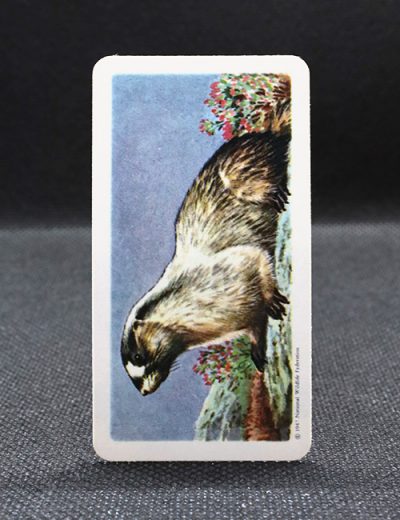 Home Page - Brooke Bond Tea Cards