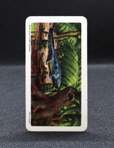 Home Page - Brooke Bond Tea Cards